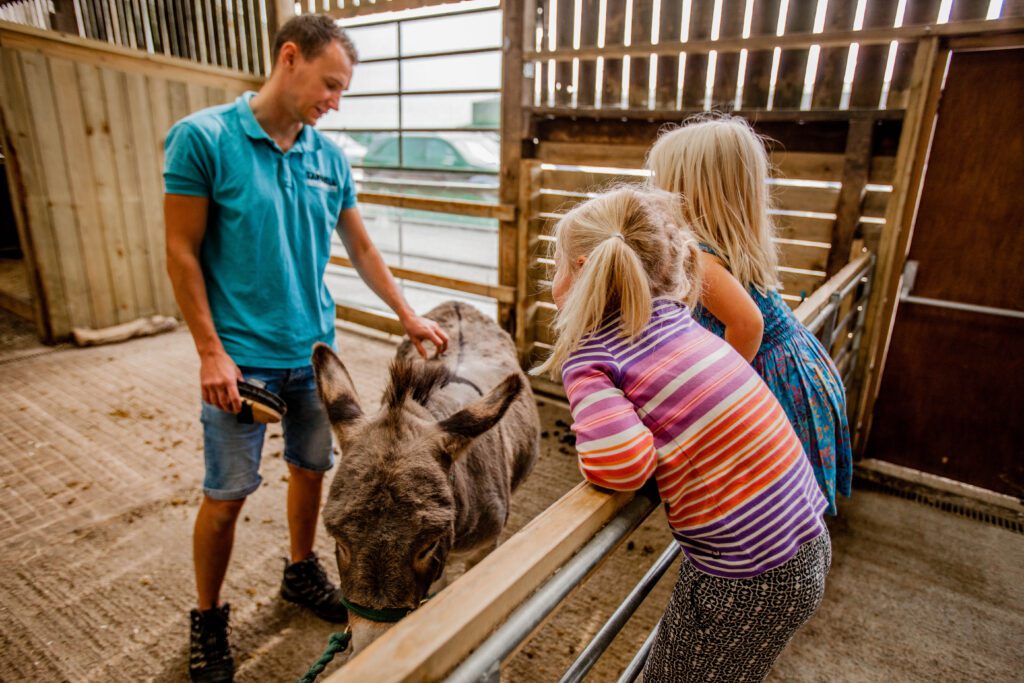 Tapnell Farm - Explore the Isle of Wight