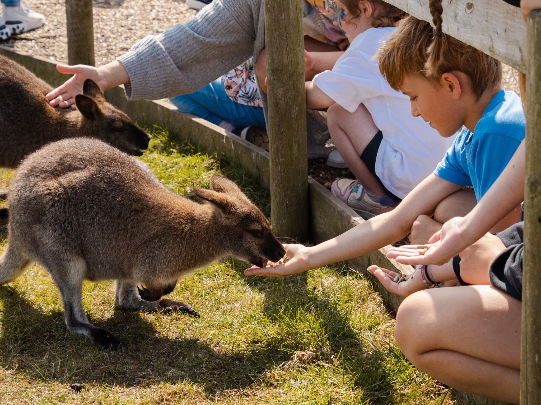 Tapnell Farm - Explore the Isle of Wight
