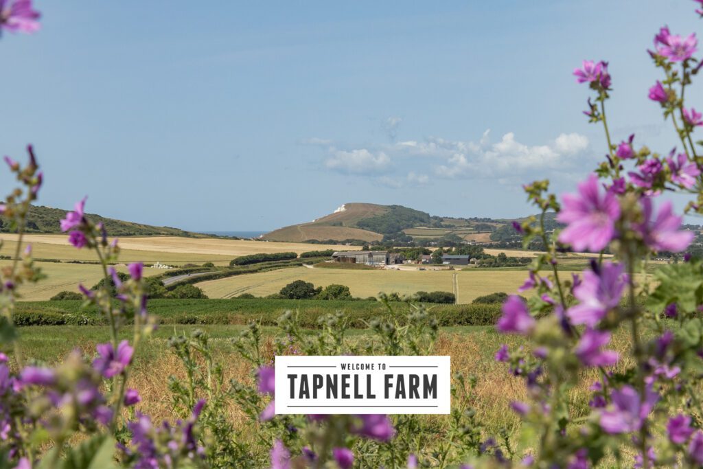 ‘No Fuss Glamping’ at Tapnell Farm Park - Explore the Isle of Wight